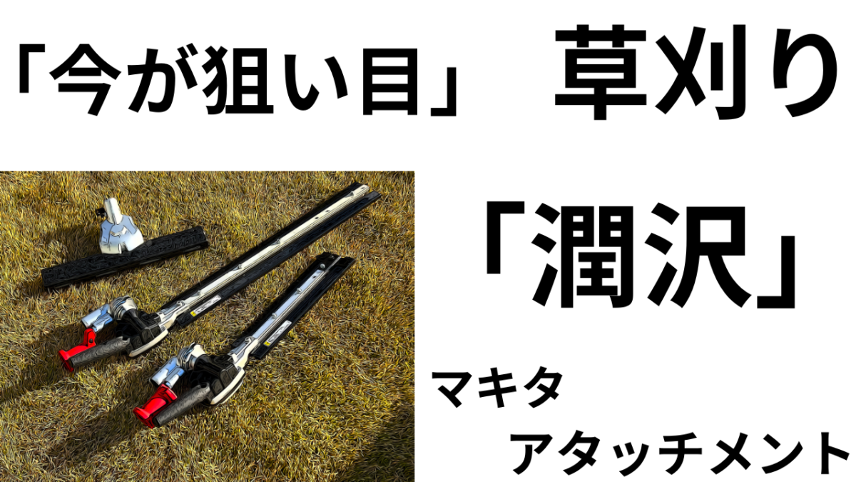 ブログ | Page 6 of 2841 | decoboco