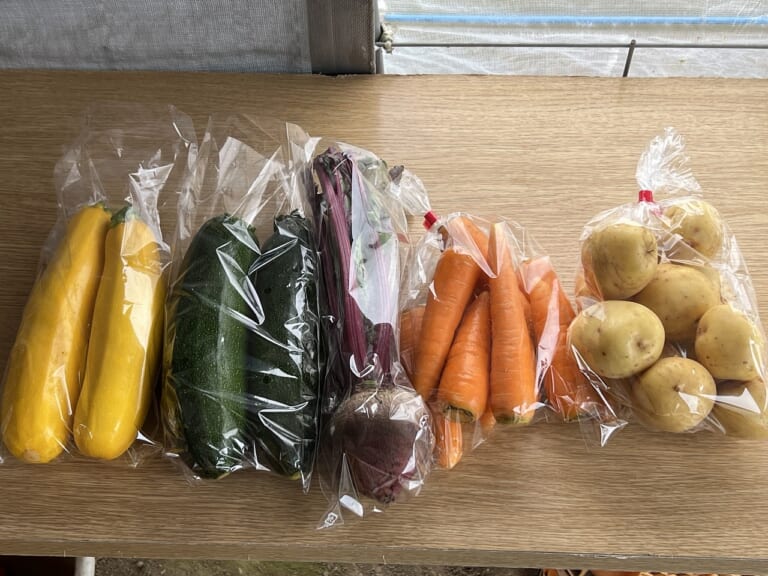 THE工場！進捗状況をお知らせするよ！モニター見て購買を悩んでる時間が長すぎる | decoboco