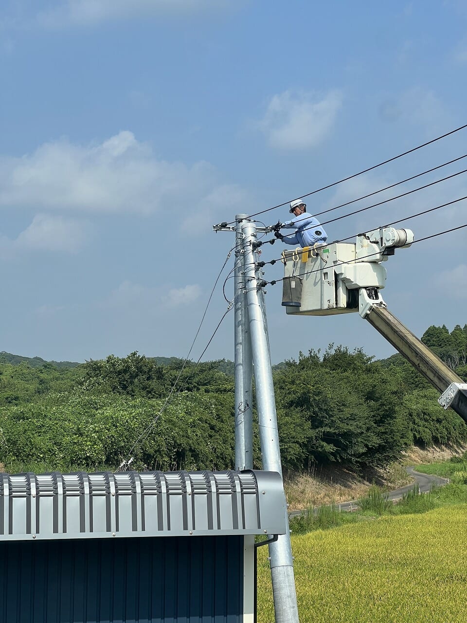 工事完了です！電柱の「鳥糞害対策」は無料！東電/NTTに困っている人は即連絡だよ！ | decoboco
